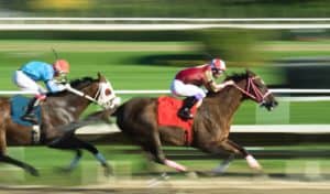 10-Point Strategy Guide for Small Business Websites - Houston WordPress ...